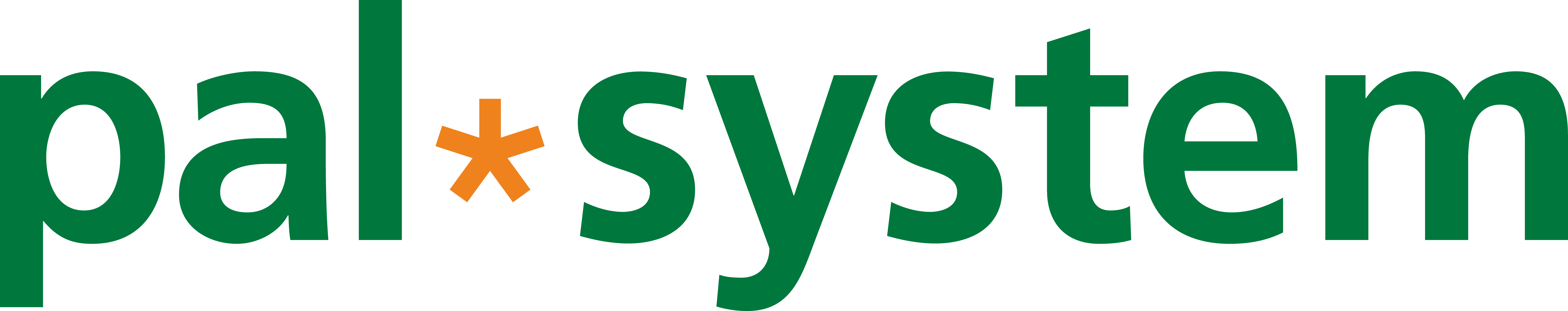 Company Logo for palsystem
